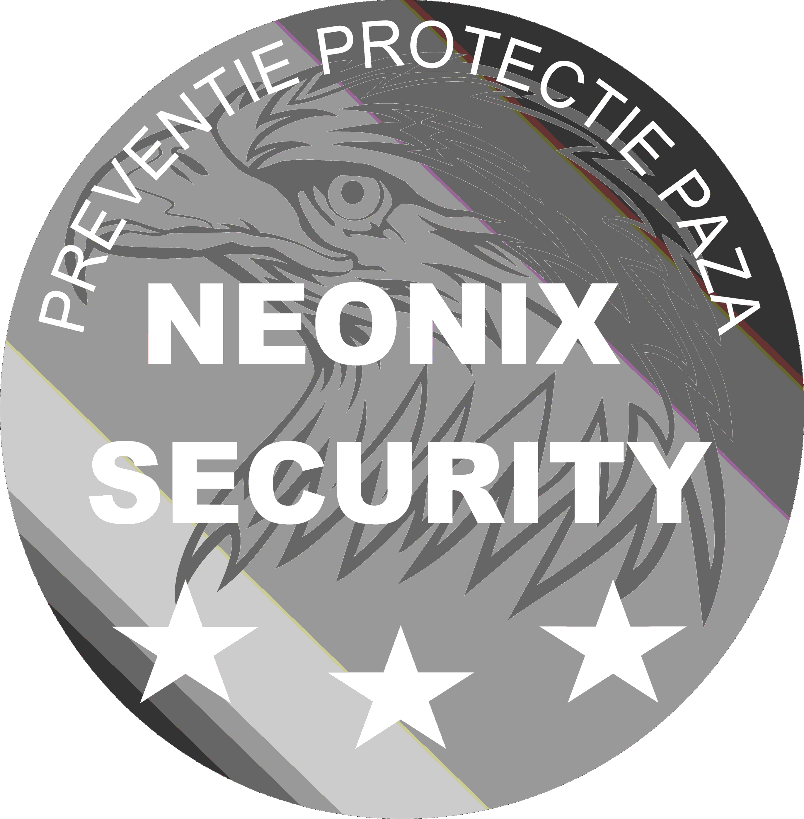 Neonix Security SRL din Sibiu - Servicii / Consultanta